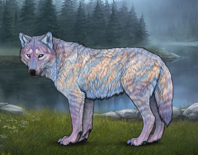 Skin Like Night Sky |:| Wolvden