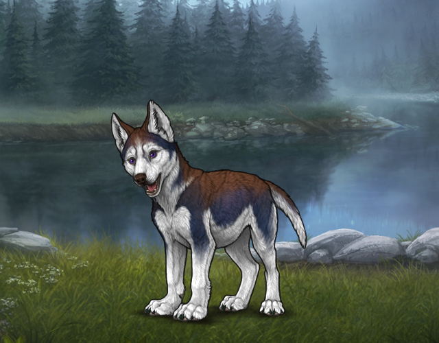 Reserved |:| Wolvden