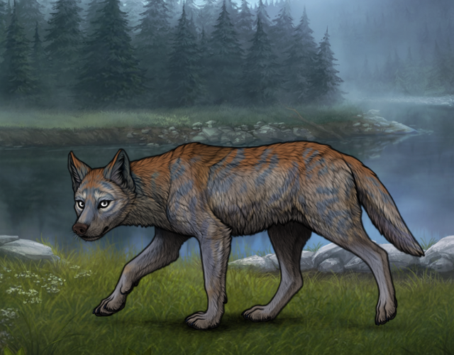 New Puppy |:| Wolvden