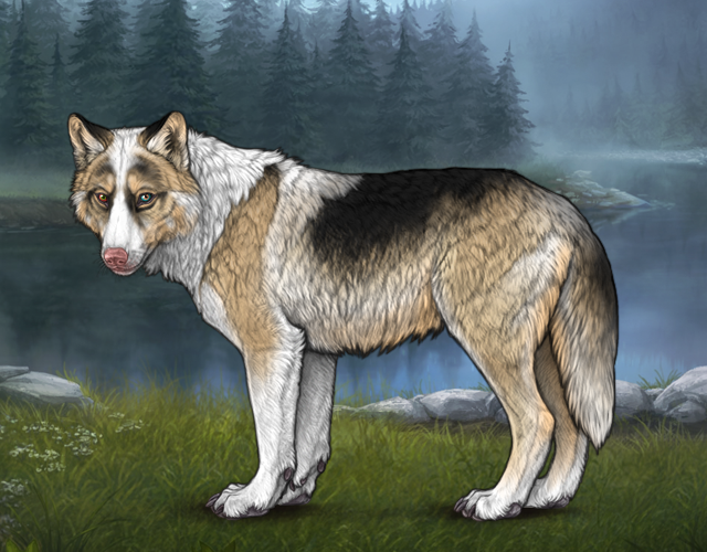 4m Rain (0.02%) |:| Wolvden