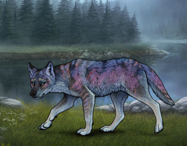 New Puppy |:| Wolvden