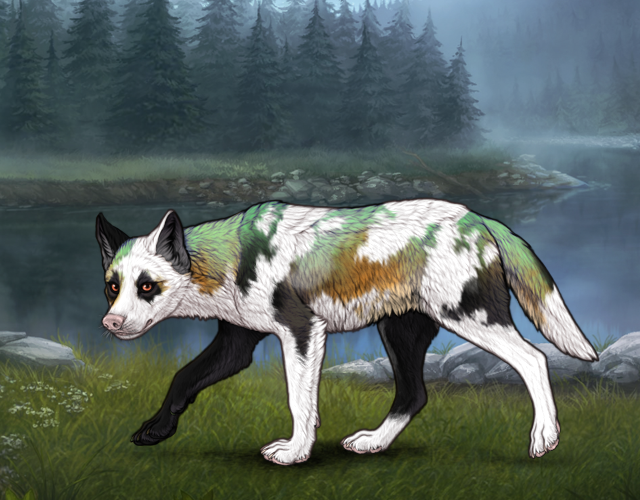 beautiful piebald! |:| Wolvden