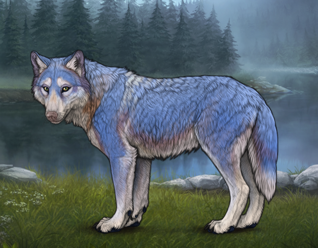 G2 Luna, puma |:| Wolvden