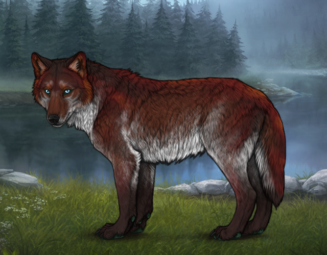 New Puppy - keep maybe? |:| Wolvden