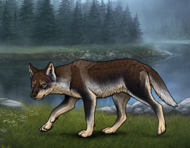 T3 G5 Fox |:| Wolvden