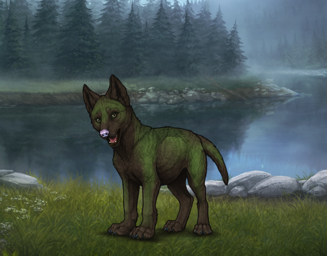 New Runt Puppy |:| Wolvden