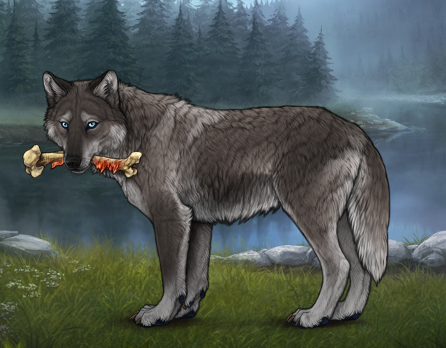 Chased Wolf Spotting - Revamped |:| Wolvden