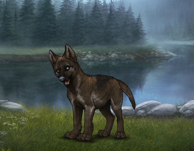 Chased 4 |:| Wolvden