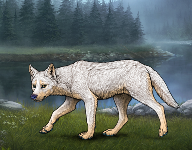 Male free |:| Wolvden