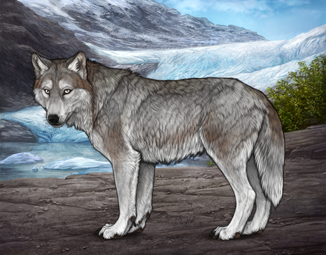 Nerosi 2C |:| Wolvden