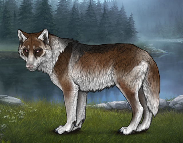 New Puppy BLS |:| Wolvden