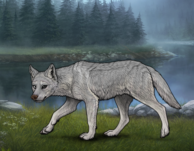 New Runt Puppy |:| Wolvden