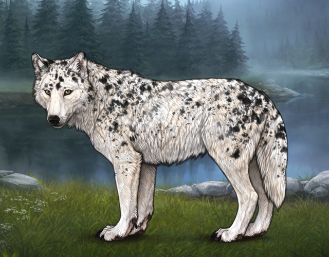 New Puppy **^ |:| Wolvden