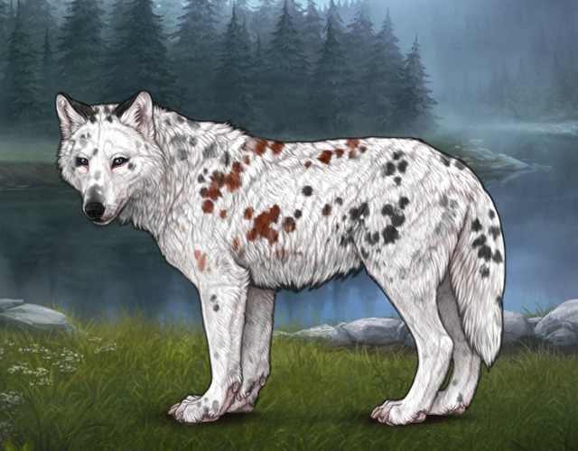 Wolvden
