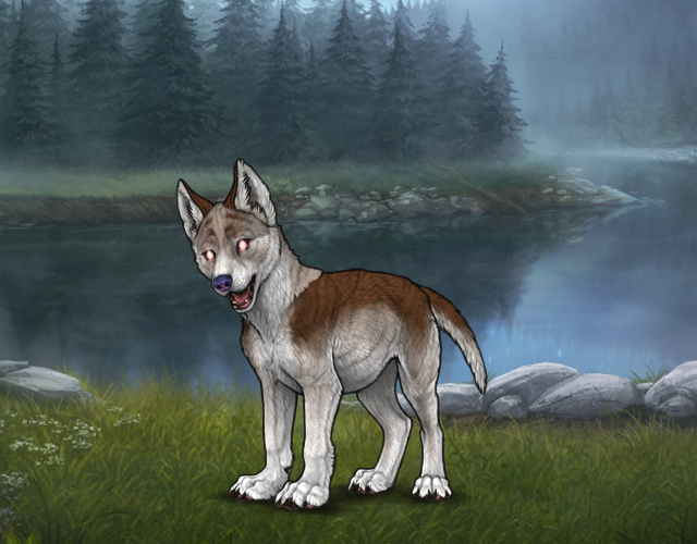 Selena 2MARK 1 sell |:| Wolvden