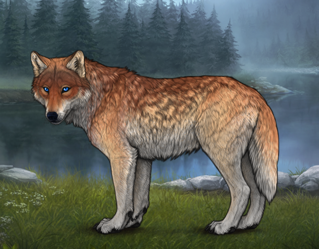 602 Stat Chaser, Auburn |:| Wolvden