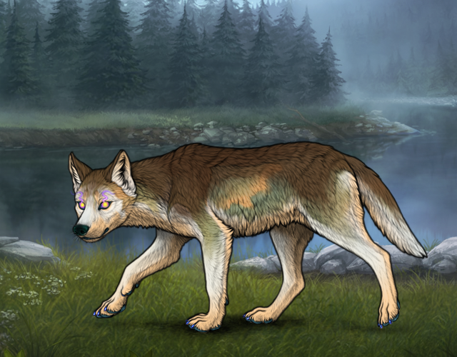 G2 Wolverine, Soay |:| Wolvden