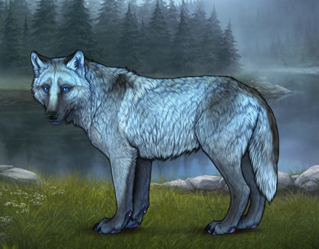 Scout Stat needed: Wisdom |:| Wolvden