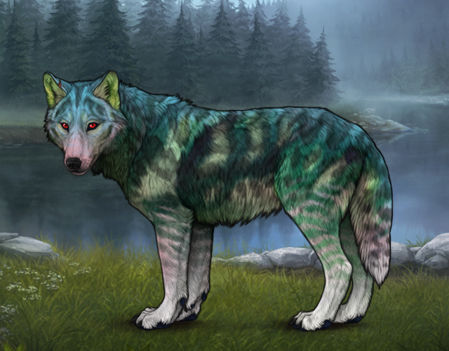 Aurorariver 🐾 |:| Wolvden