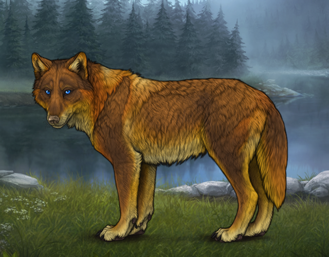 New Befriended Wolf |:| Wolvden