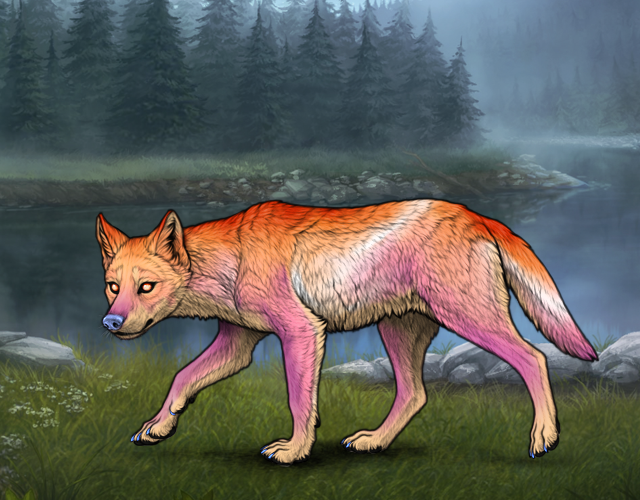 G3 Rose Zirc 2xWhiteMerle |:| Wolvden