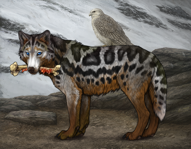 ♂️ white 7m |:| Wolvden