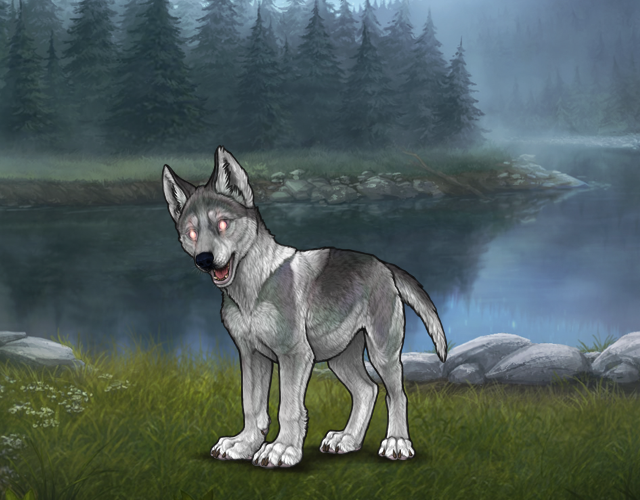 Female gray 7m hi stat |:| Wolvden