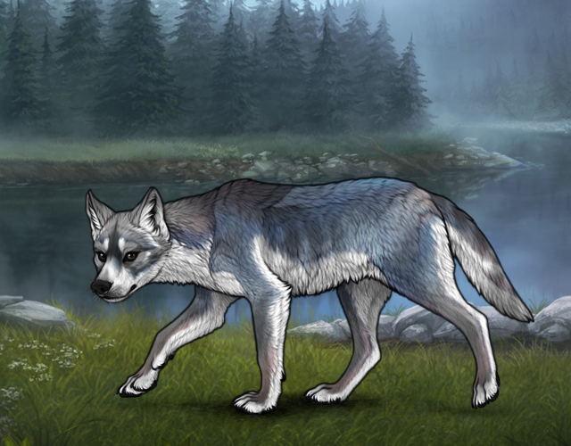 jace |:| Wolvden