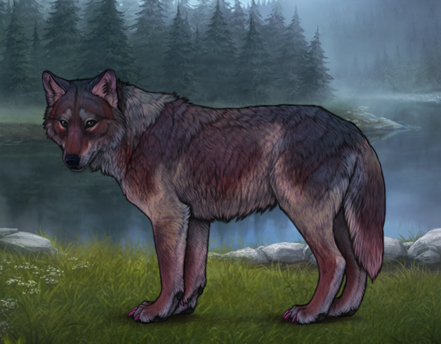 Chased Wolf Spotting - Revamped |:| Wolvden