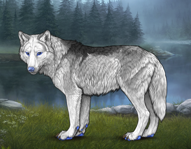 storm iri |:| Wolvden