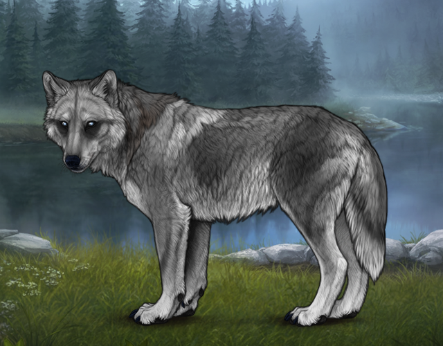 Ashen Moon |:| Wolvden