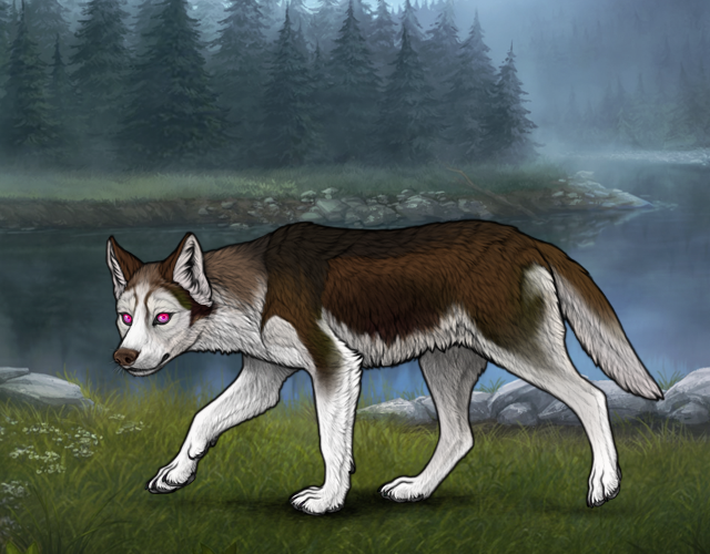 NBW T3 Corundum |:| Wolvden