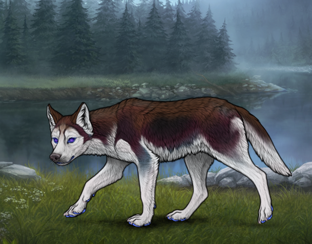 622 pretty |:| Wolvden