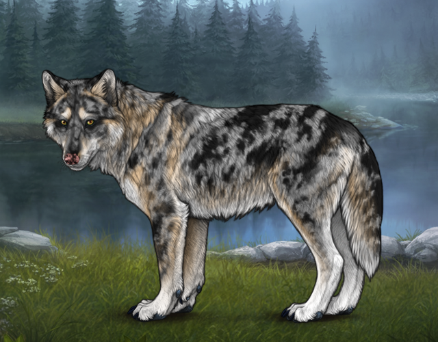 New Puppy |:| Wolvden