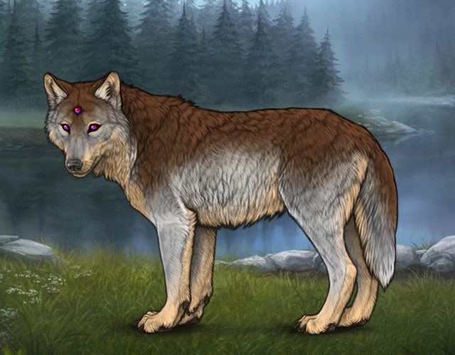 Brown T1 7m 394 ⭐ |:| Wolvden