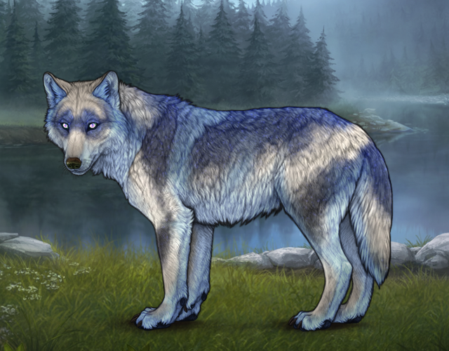 Dust NBW |:| Wolvden