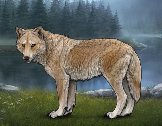 New Runt Puppy |:| Wolvden