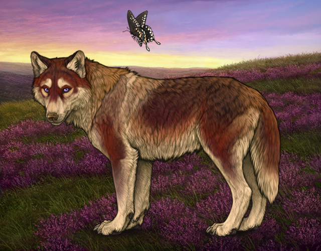 Lucien - Pyrope - 1102 STAT- 10M - 50 % Off!!! |:| Wolvden