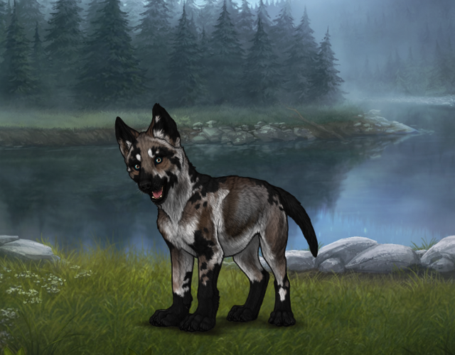 New Puppy |:| Wolvden
