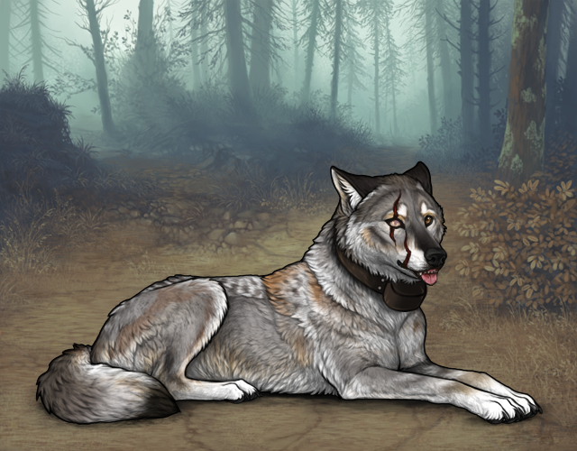 ×Vindictive-Felan. •G1. |:| Wolvden