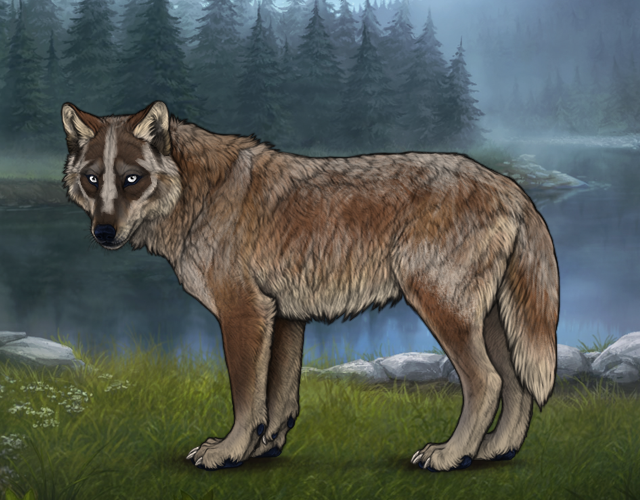 Chased Wolf Spotting - Revamped |:| Wolvden