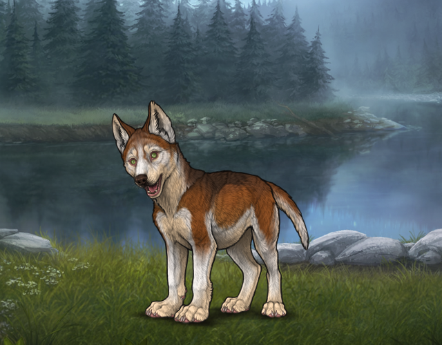 Night Sky |:| Wolvden