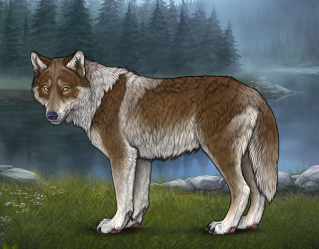 T2 Husky 7M |:| Wolvden