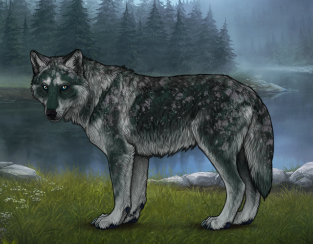 New Puppy |:| Wolvden