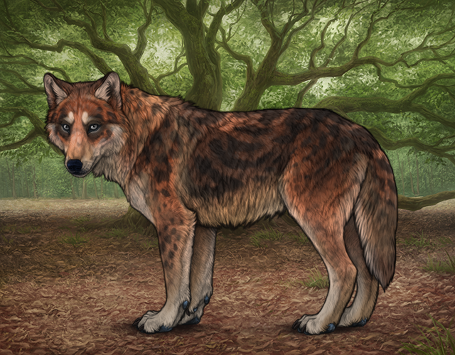 📖Traveling Wolf! |:| Wolvden