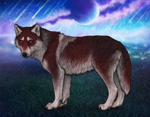 Ruby Dawn |:| Wolvden