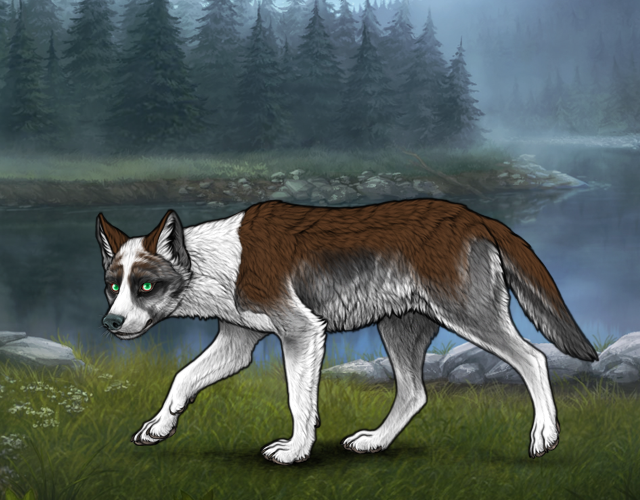 7G 4M Henna |:| Wolvden