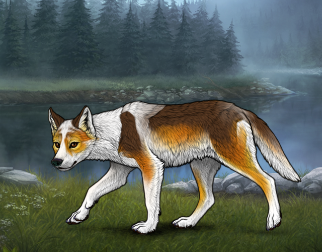 Isabel F 7m |:| Wolvden