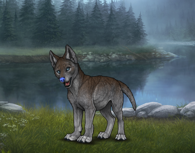 Chased Wolf Spotting - Revamped |:| Wolvden