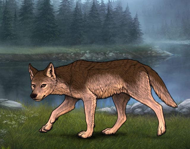 Chased Wolf Spotting - Revamped |:| Wolvden
